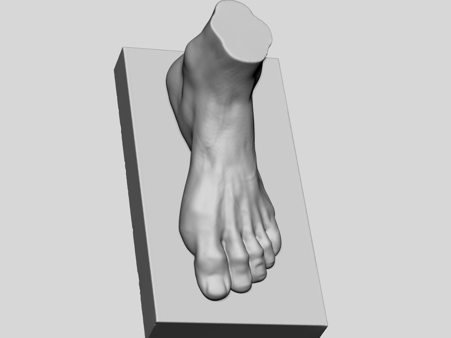 Foot Printable V2 3D Model - TurboSquid 1891910