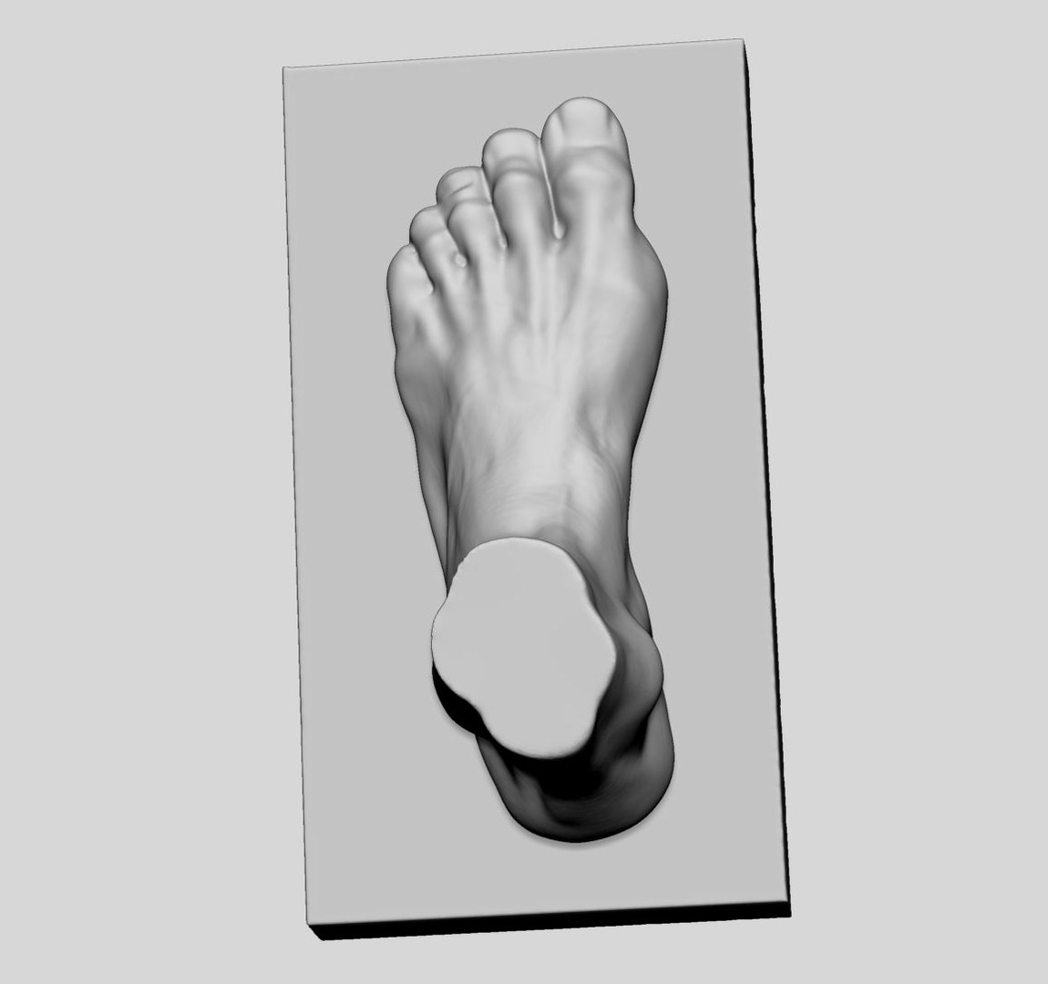 Foot Printable V2 3D Model - TurboSquid 1891910