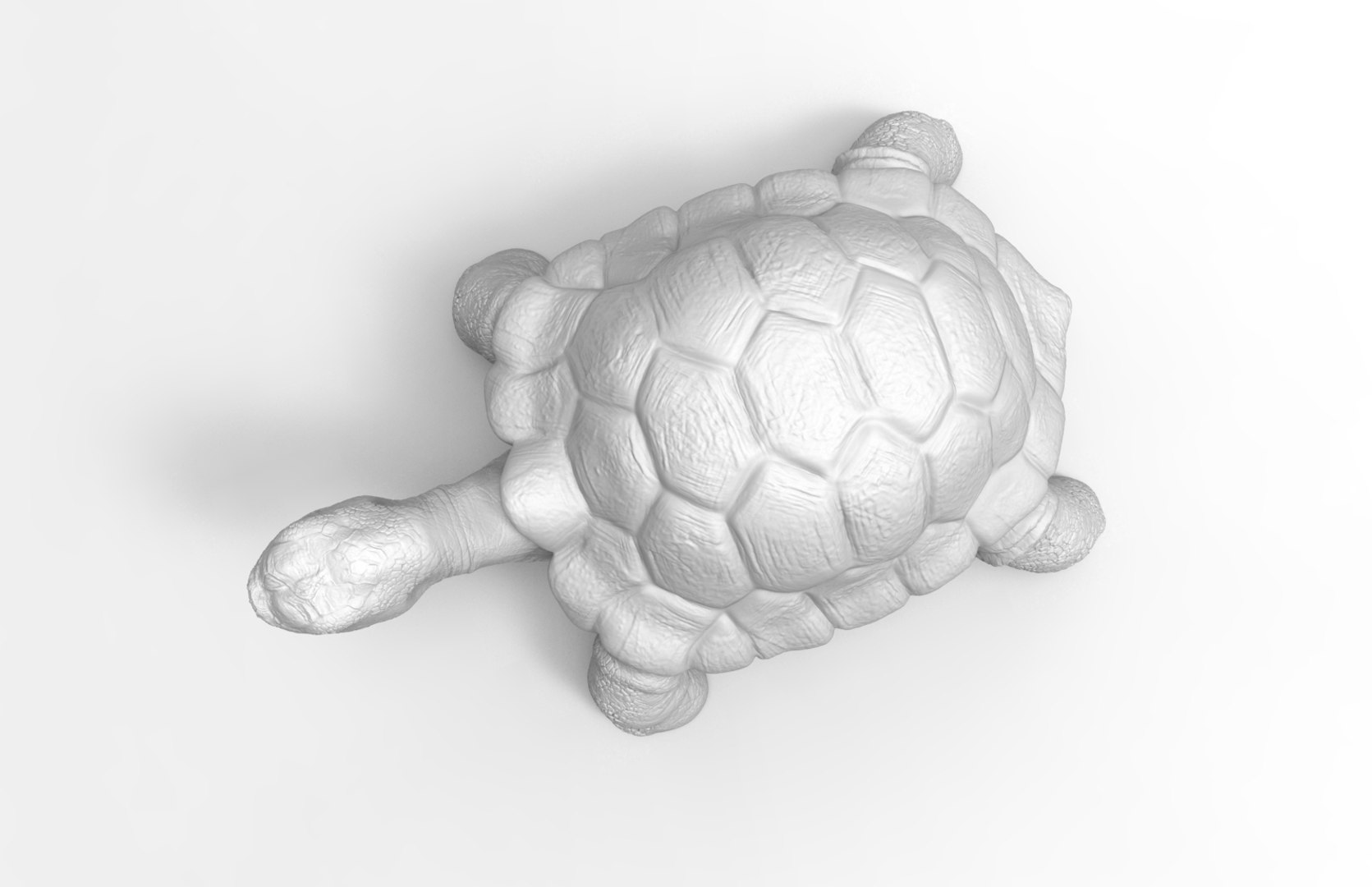 Turtle Print Ready 3d Model