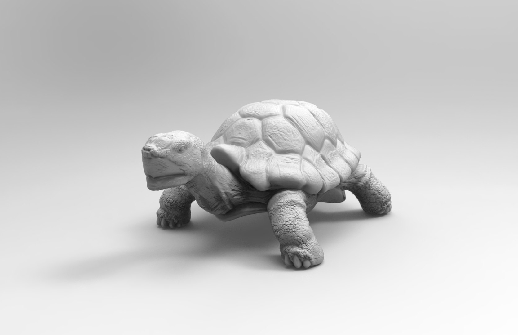 Turtle Print Ready 3d Model