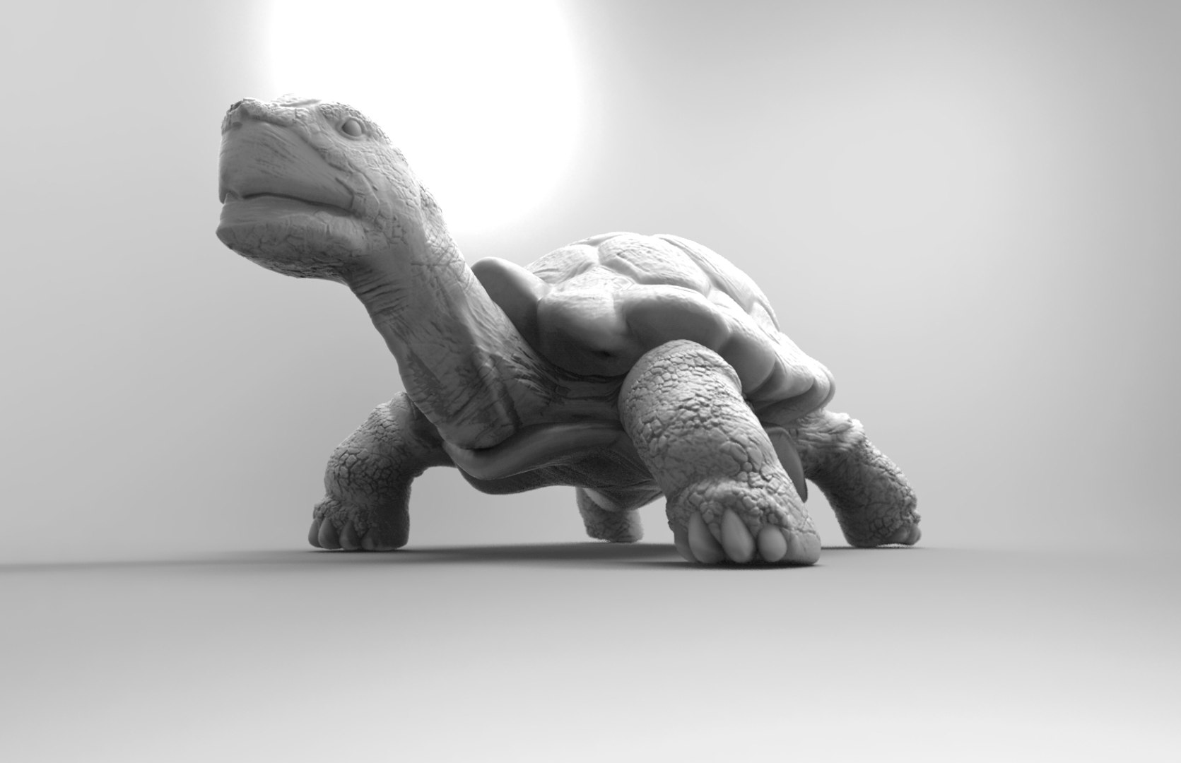 Turtle Print Ready 3d Model