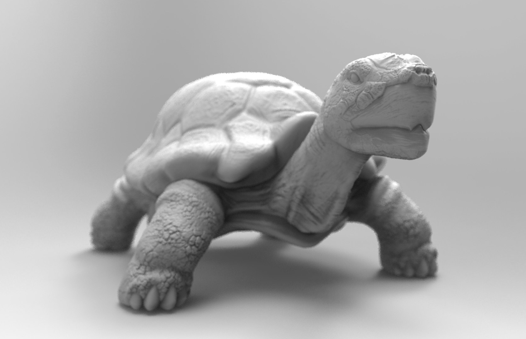 Turtle Print Ready 3d Model