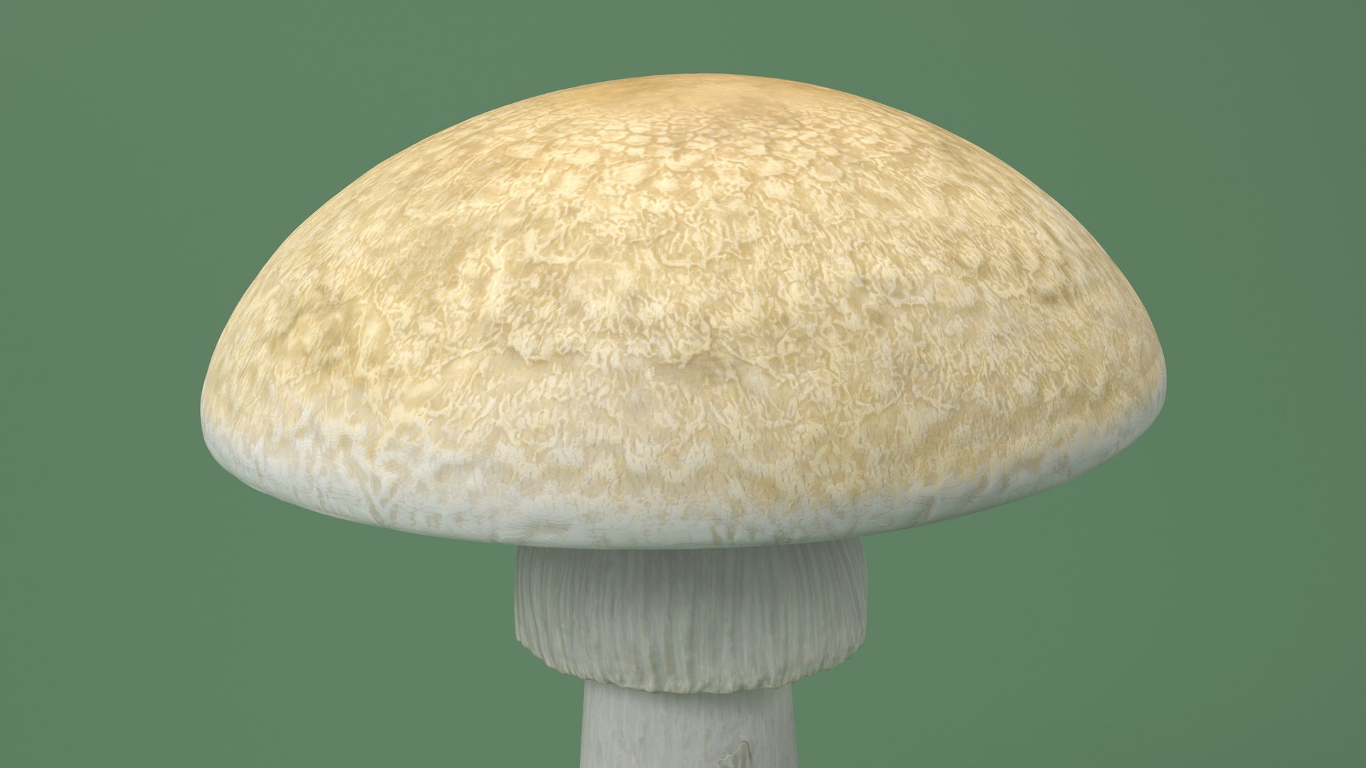 Toadstool 3D Model - TurboSquid 2216636