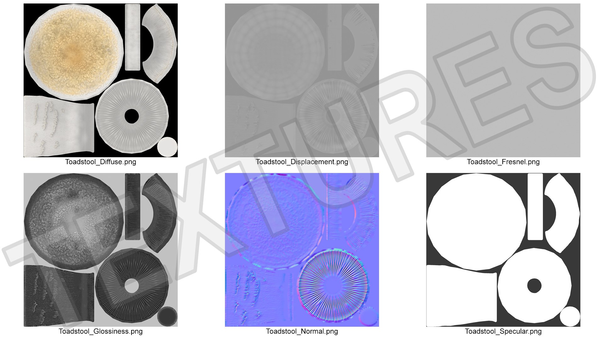 Toadstool 3D Model - TurboSquid 2216636