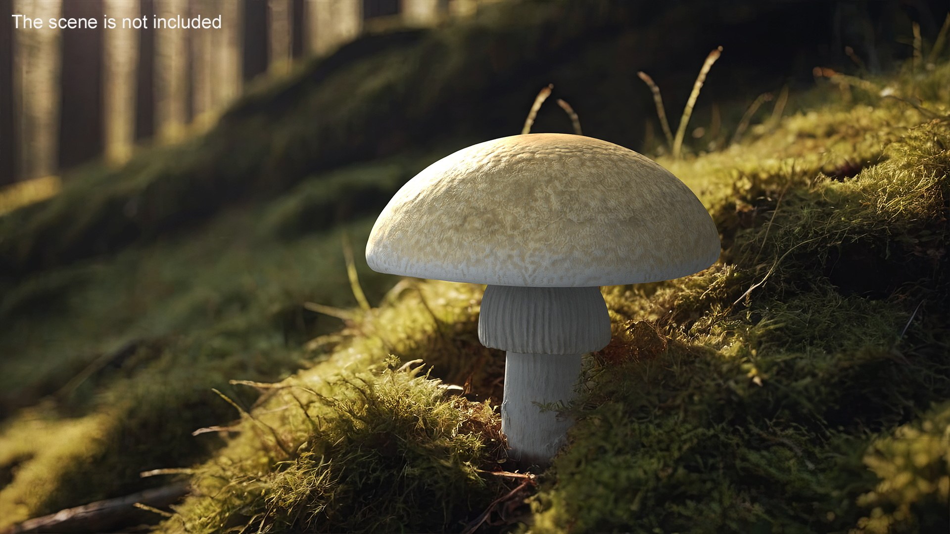 Toadstool 3D Model - TurboSquid 2216636