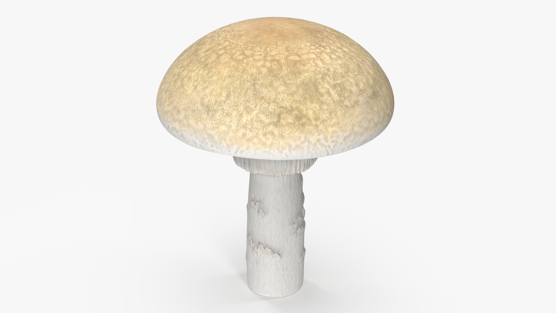 Toadstool 3D Model - TurboSquid 2216636