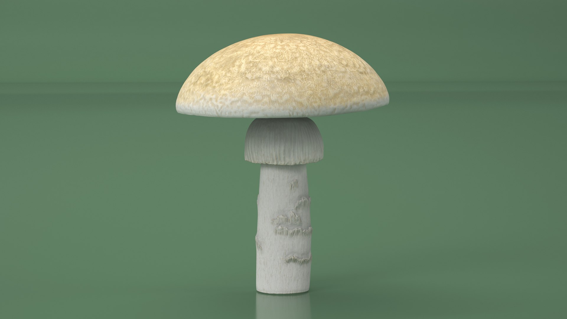 Toadstool 3D Model - TurboSquid 2216636