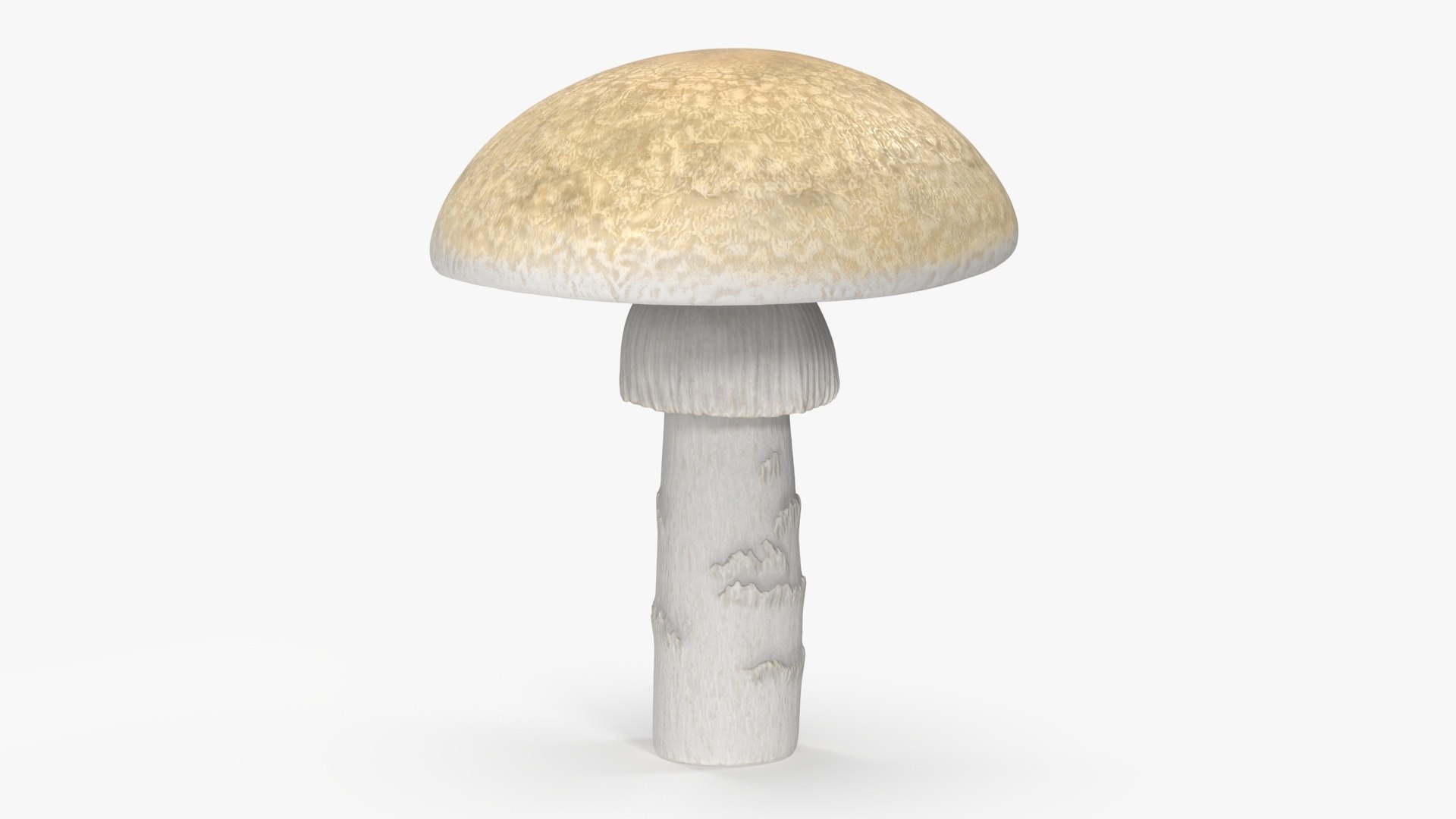 Toadstool 3D Model - TurboSquid 2216636