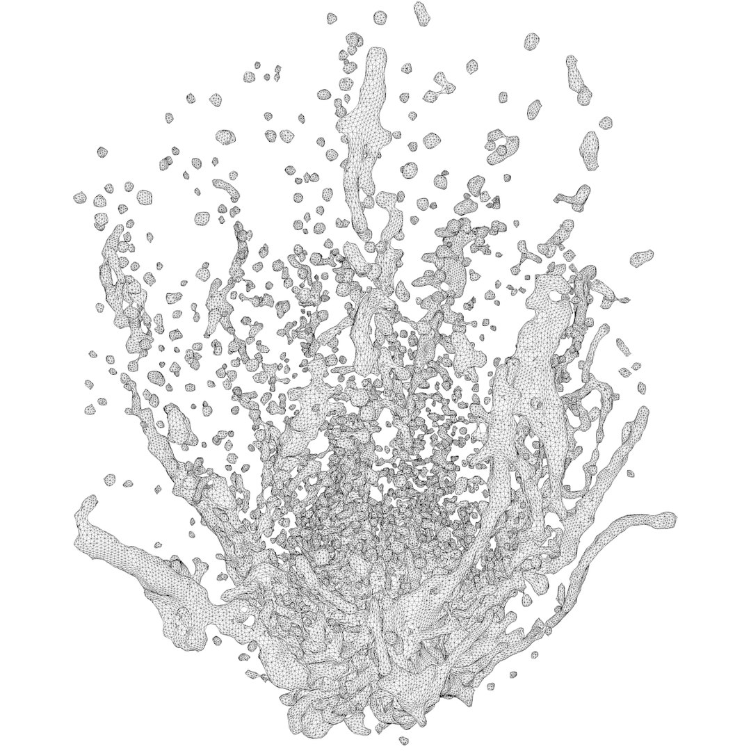 Water Blast Splash Model - TurboSquid 1438921