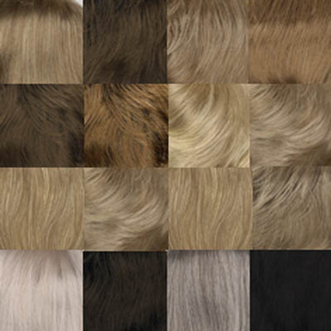 Collections Hair 34 Different 3d Model
