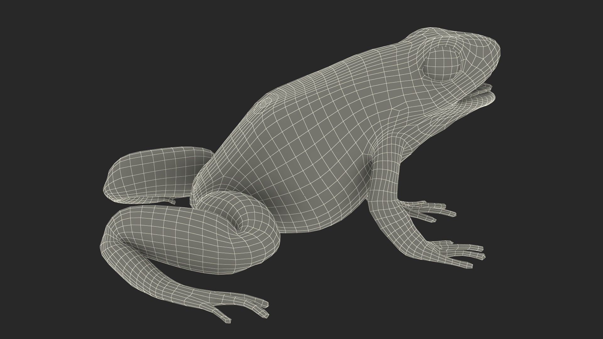 Green Morph Dart Frog Rigged For Maya 3D Model - TurboSquid 2198548