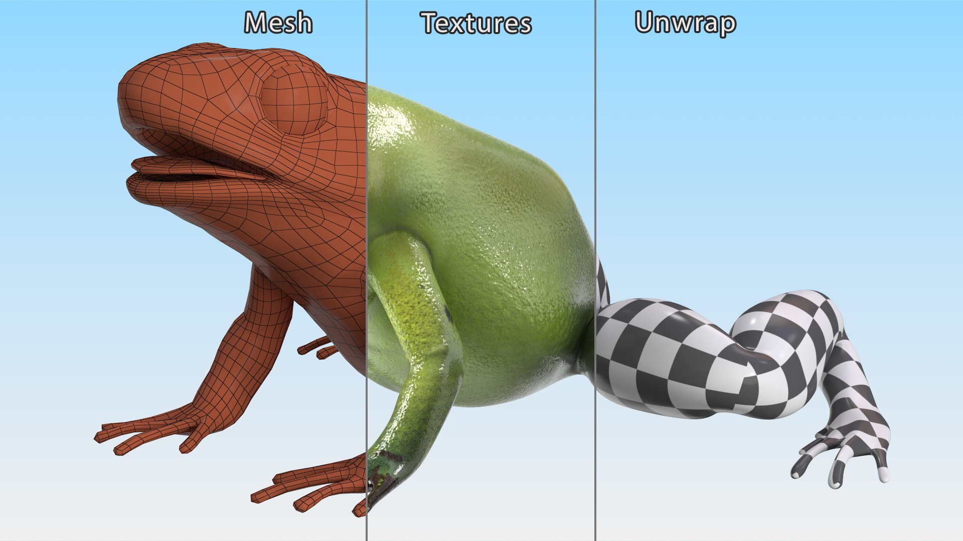 Green Morph Dart Frog Rigged For Maya 3D Model - TurboSquid 2198548
