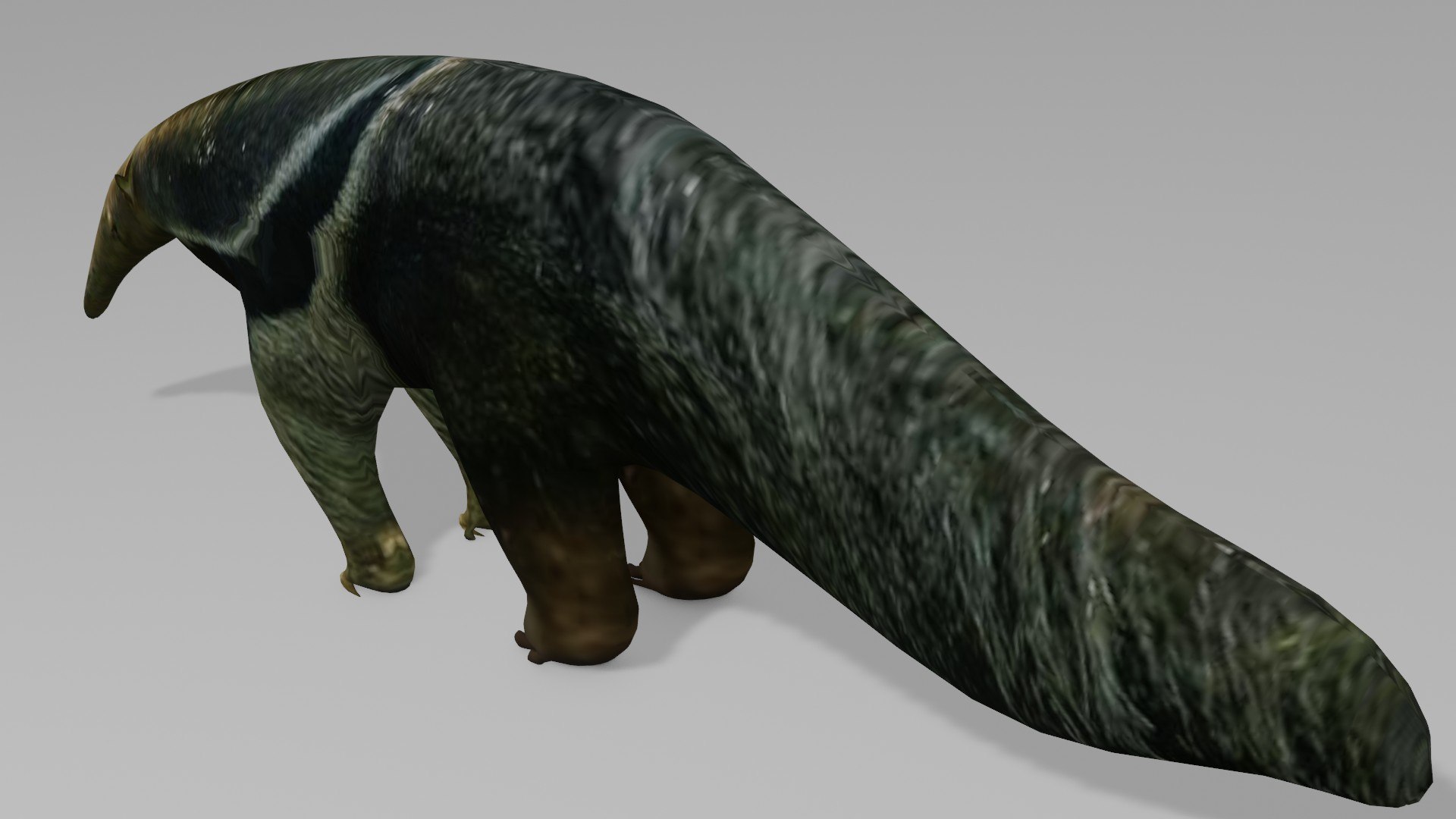 3D Anteater OBJ And BLEND Model - TurboSquid 2369333