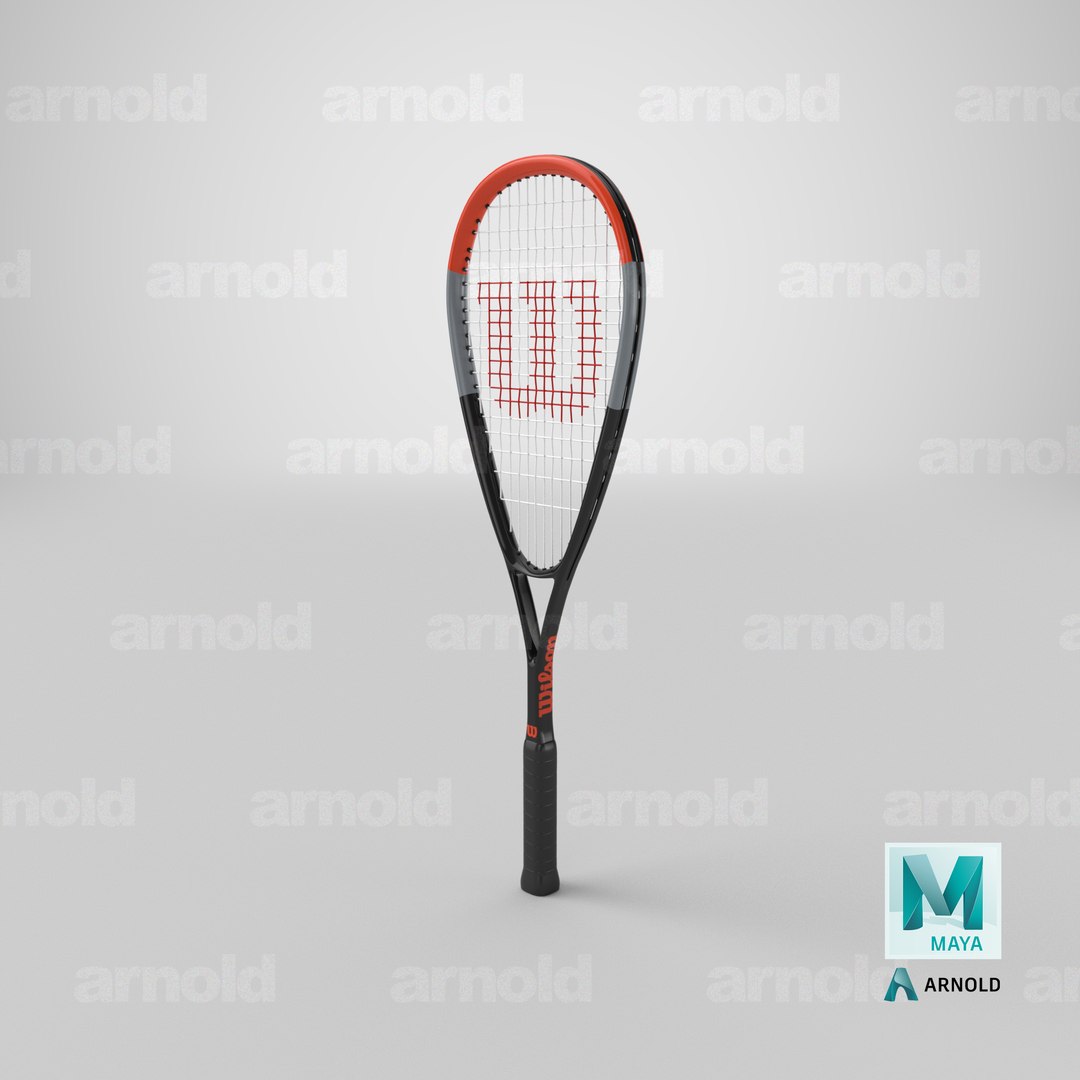 3D Squash Racquet 01 - TurboSquid 2058949