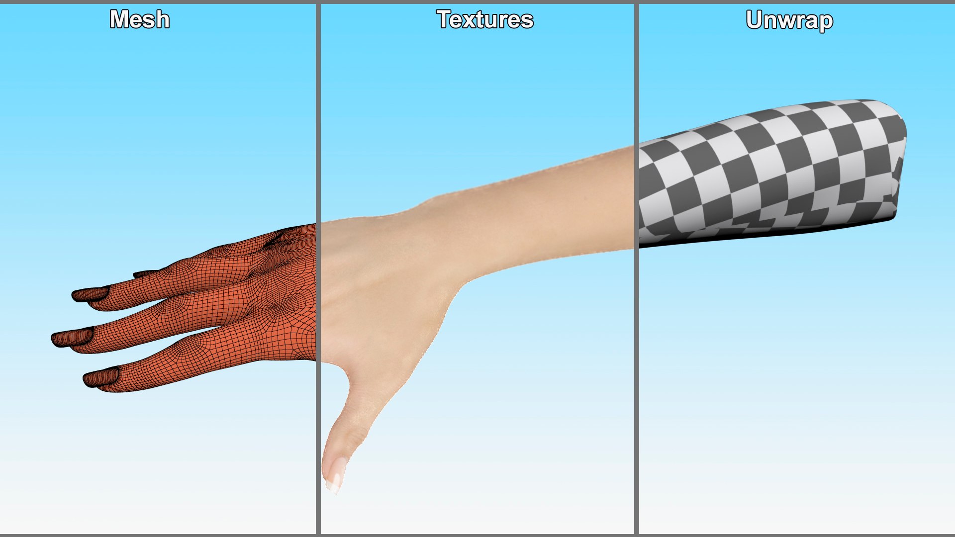 3D White Female Hand Rigged For Cinema 4D - TurboSquid 2195402