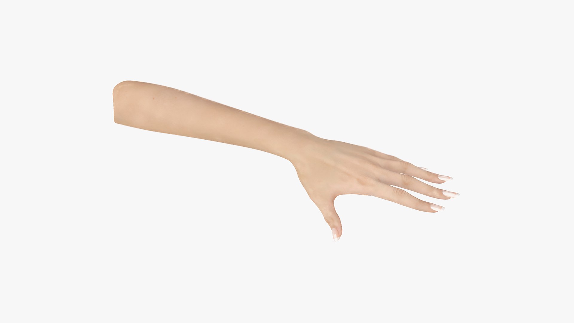 3D White Female Hand Rigged For Cinema 4D - TurboSquid 2195402