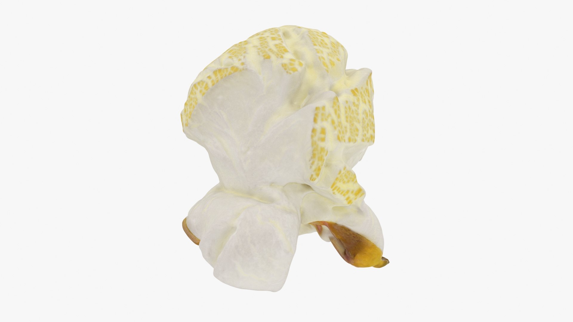 Popcorn 03 3D - TurboSquid 2256114