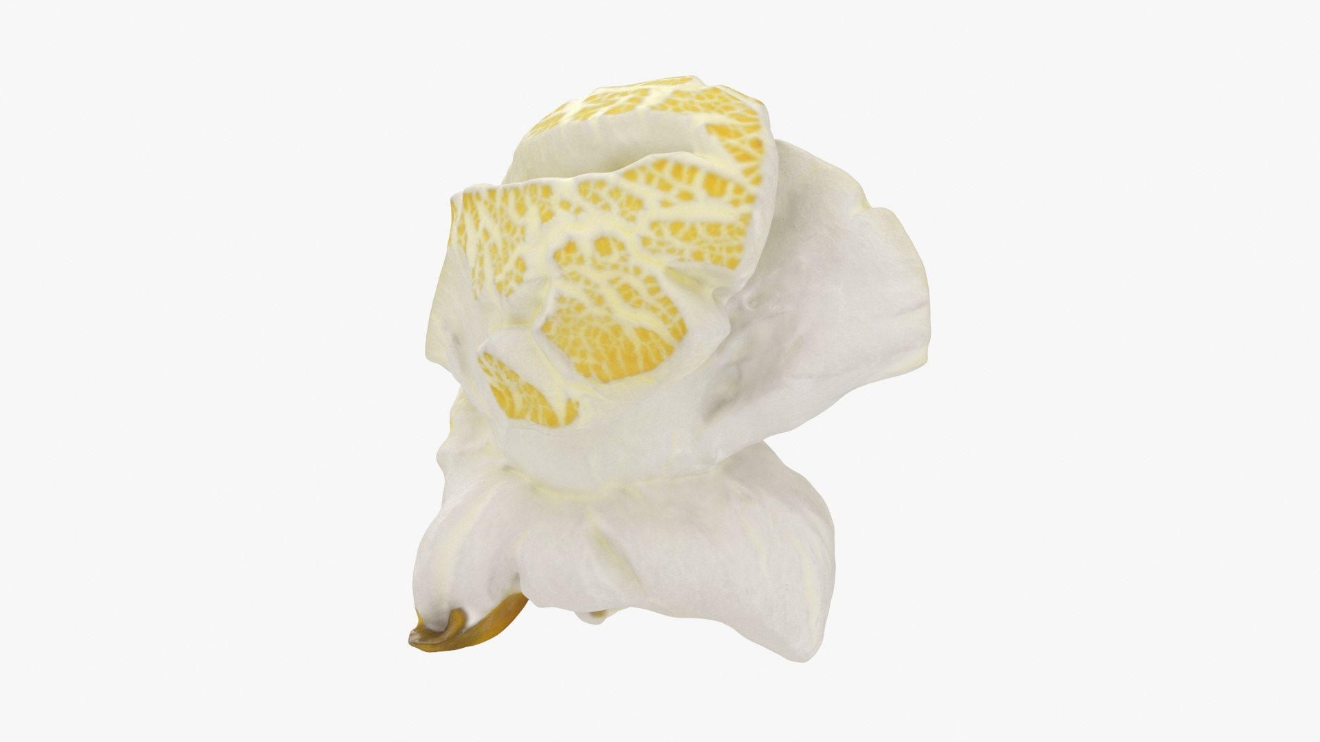 Popcorn 03 3D - TurboSquid 2256114