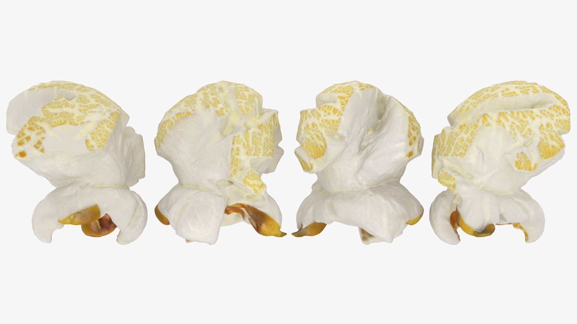 Popcorn 03 3D - TurboSquid 2256114