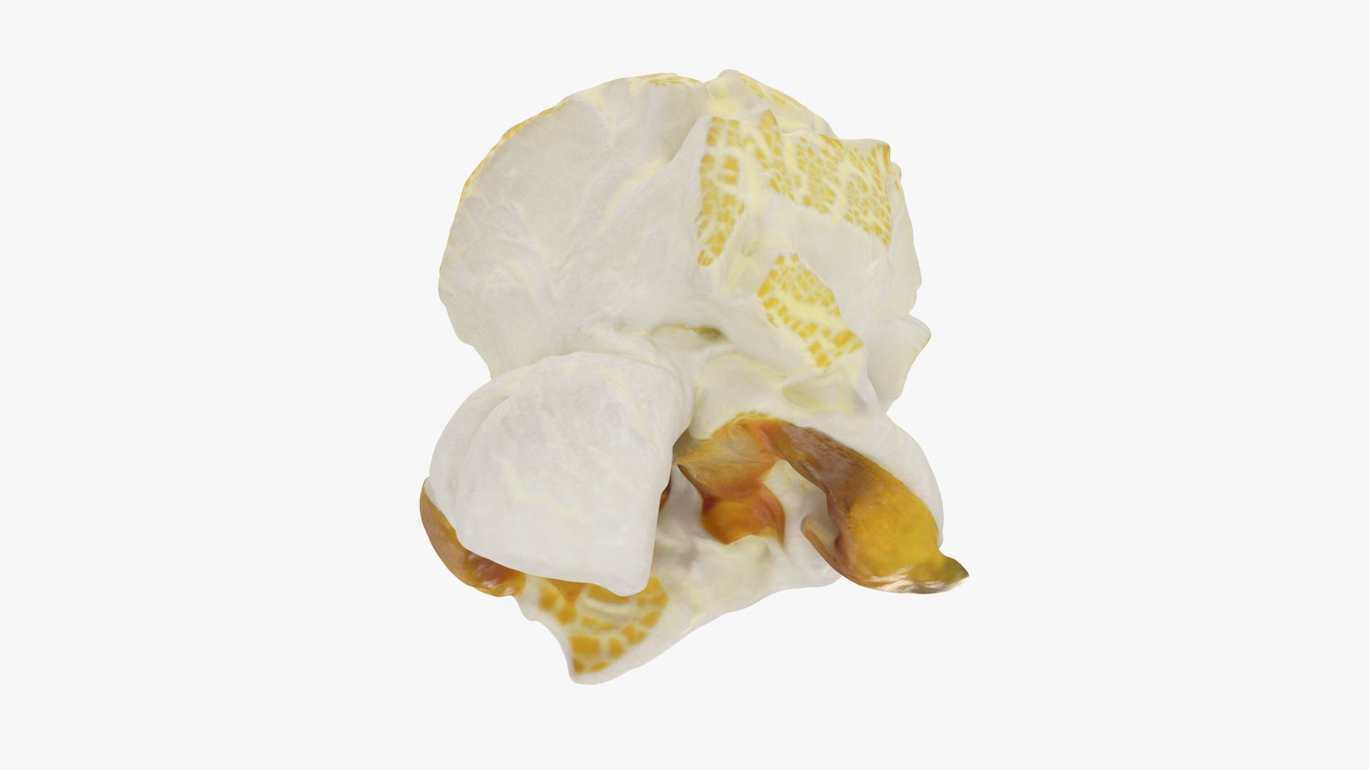 Popcorn 03 3D - TurboSquid 2256114