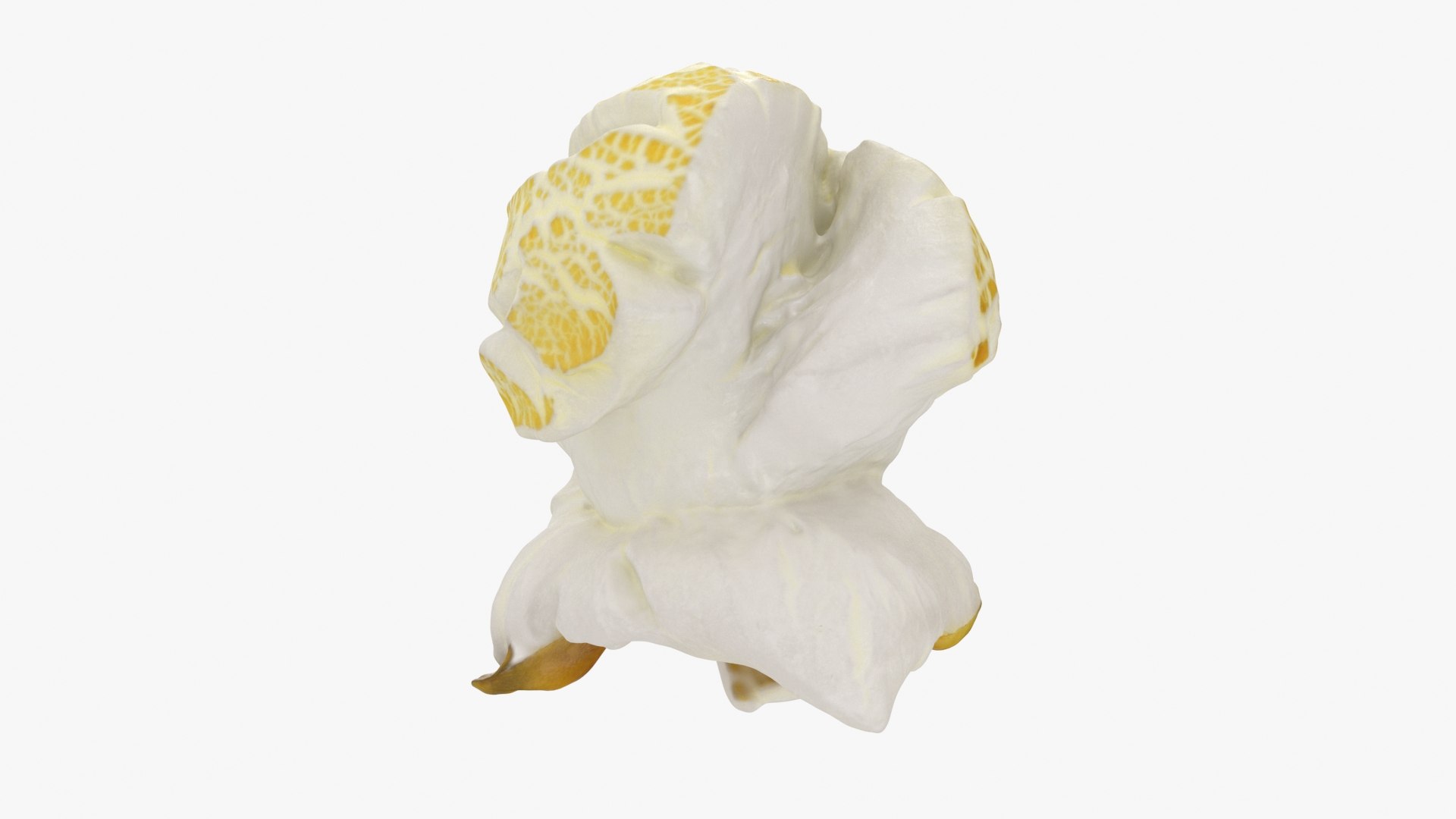 Popcorn 03 3D - TurboSquid 2256114