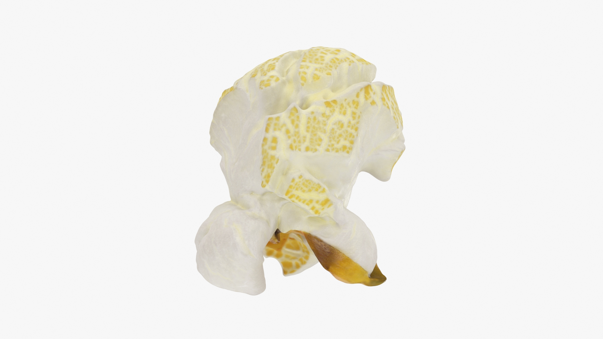 Popcorn 03 3D - TurboSquid 2256114