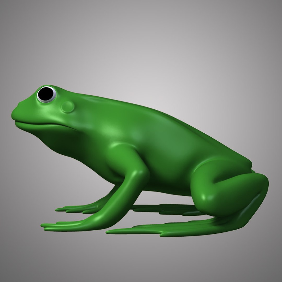 3ds frog anatomy body