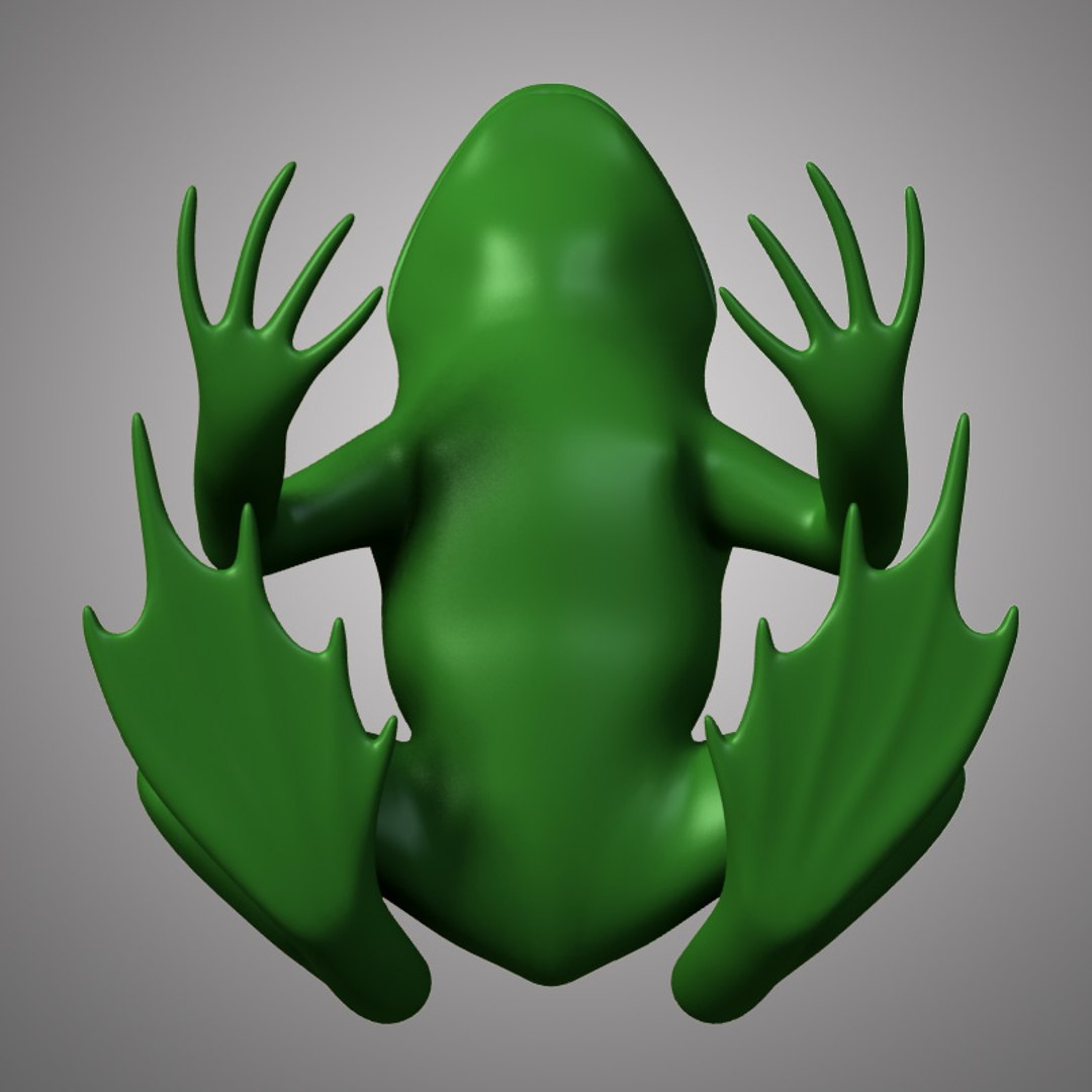 3ds frog anatomy body