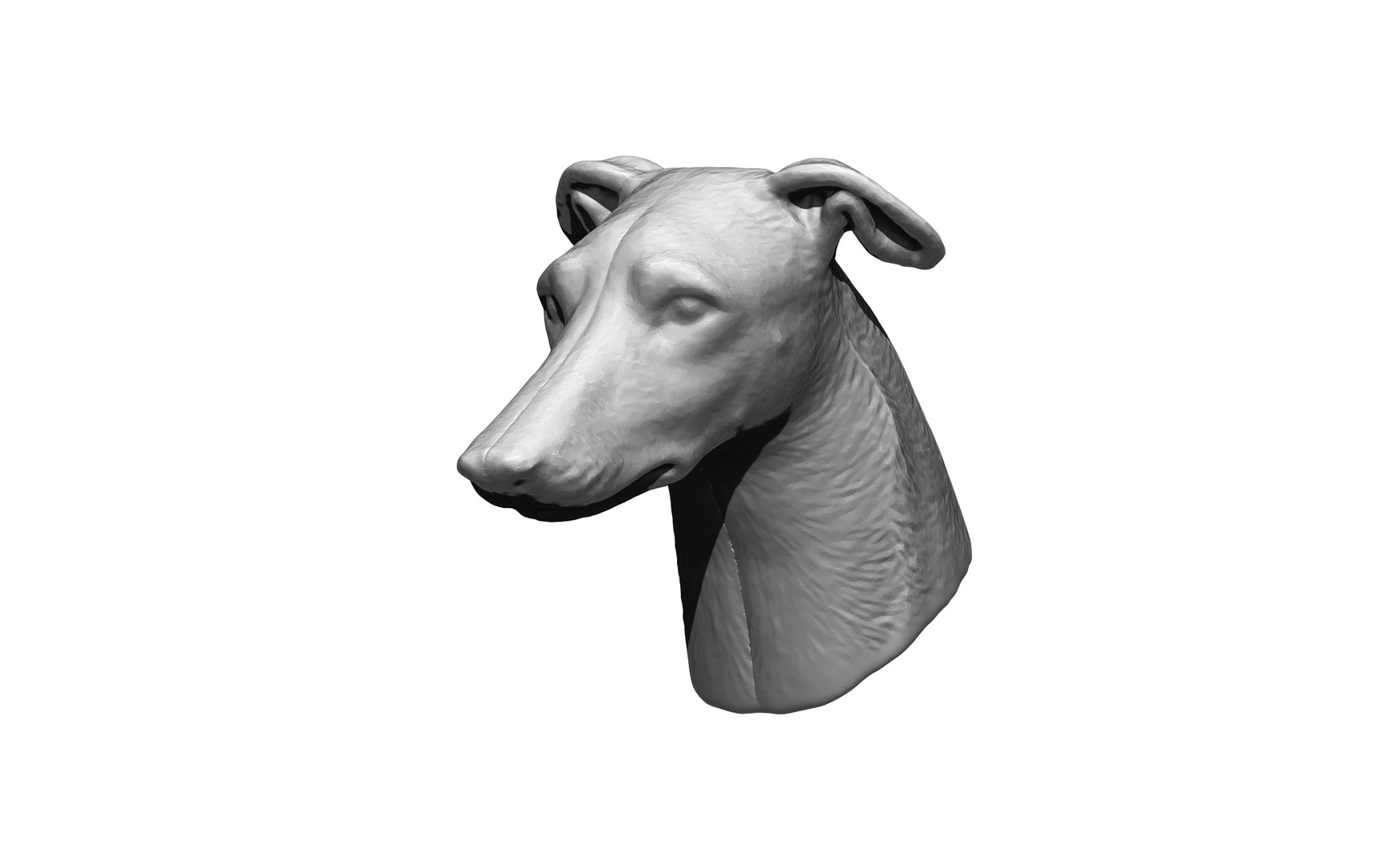 3D Dog 7 Model - TurboSquid 2053556