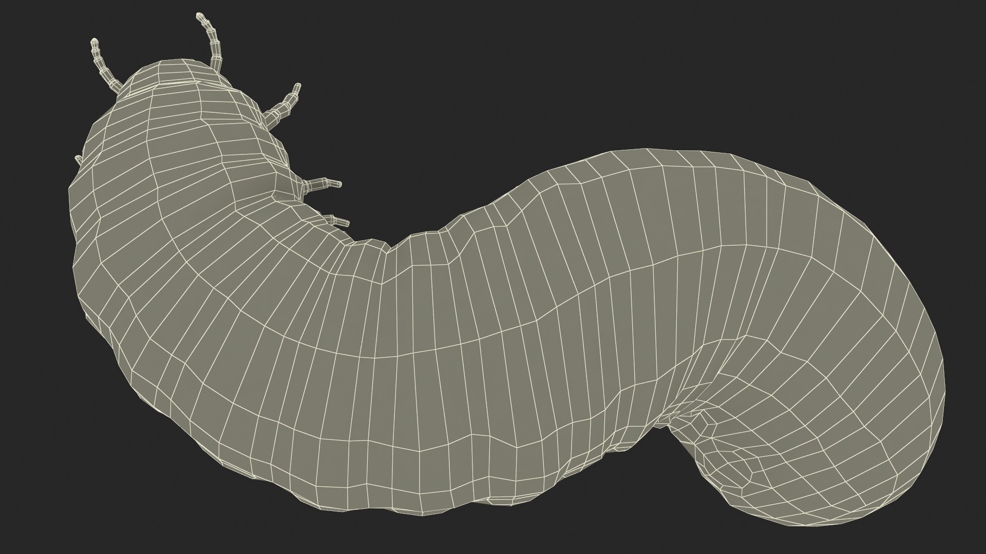 3D Maggot May Bug Rigged For Cinema 4D - TurboSquid 2180203