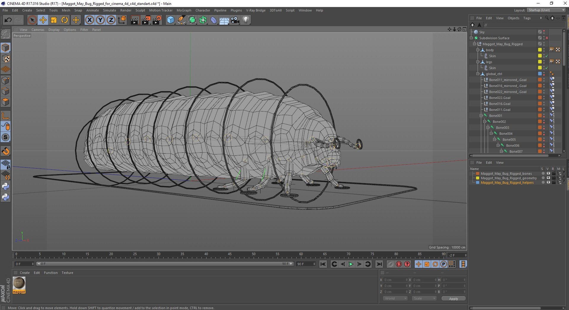 3D Maggot May Bug Rigged For Cinema 4D - TurboSquid 2180203
