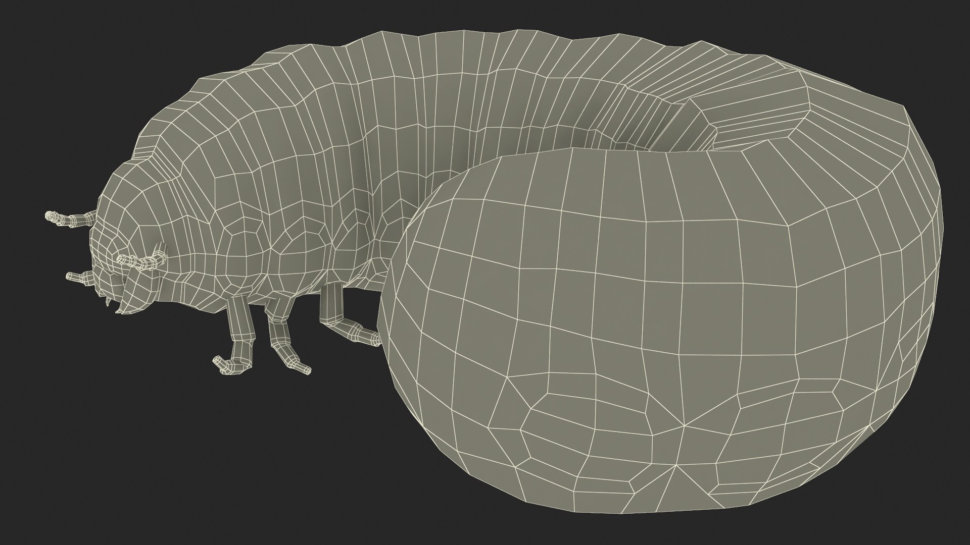 3D Maggot May Bug Rigged For Cinema 4D - TurboSquid 2180203