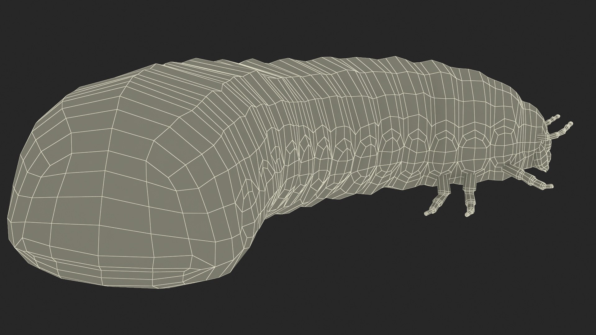 3D Maggot May Bug Rigged For Cinema 4D - TurboSquid 2180203