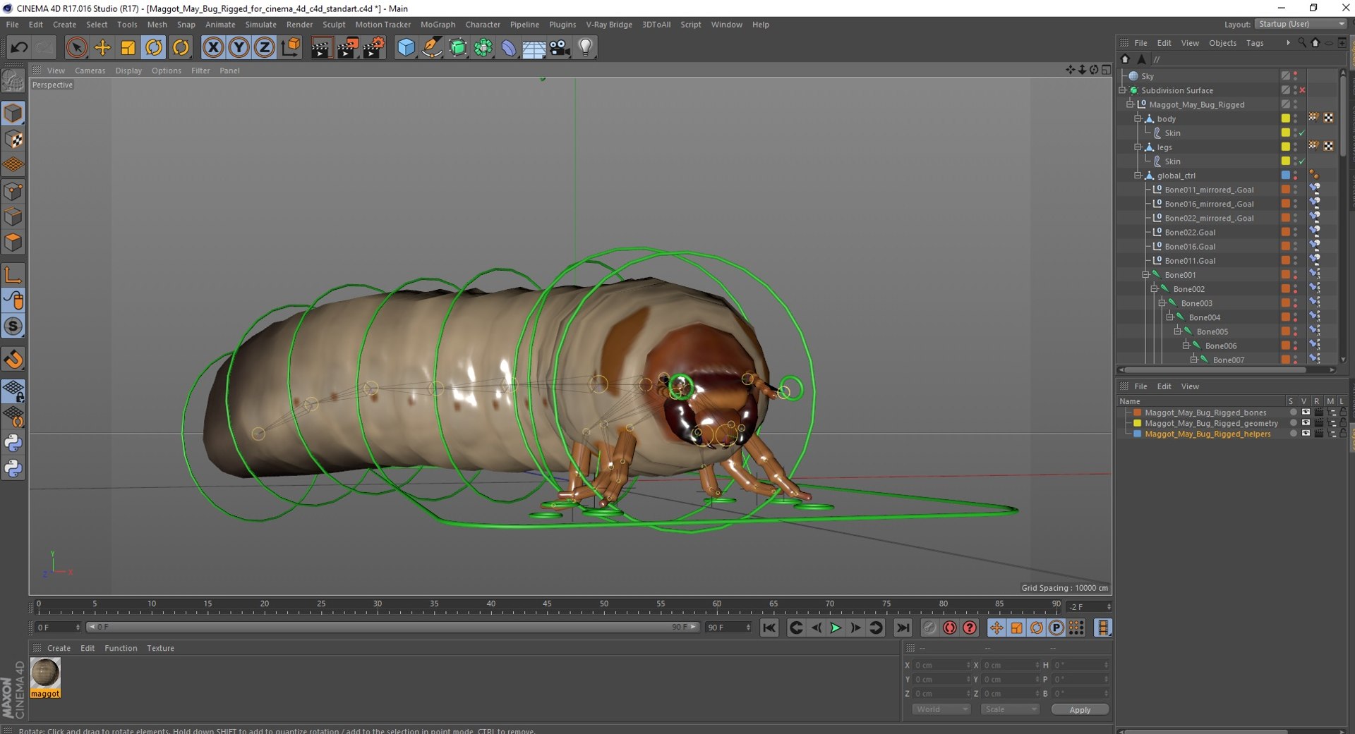 3D Maggot May Bug Rigged For Cinema 4D - TurboSquid 2180203