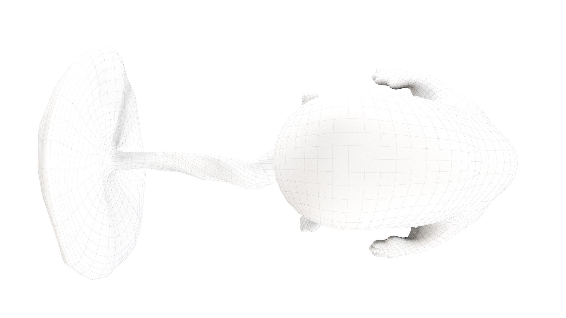 Fetus Week 8 Animated 3D Model - TurboSquid 1865860