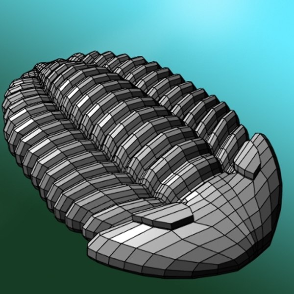 3d trilobite model