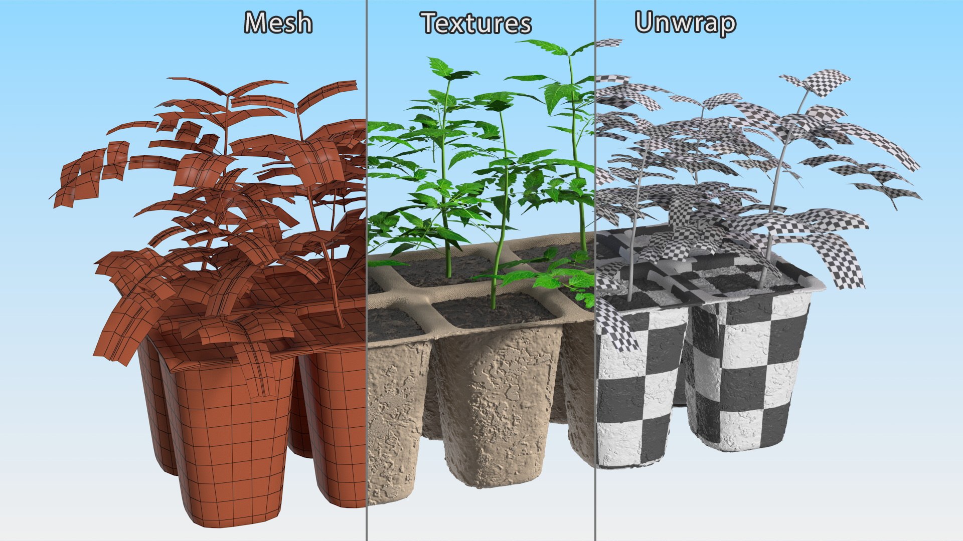 3D Tomato Seedlings In Biodegradable Peat Cell Tray - TurboSquid 2410897