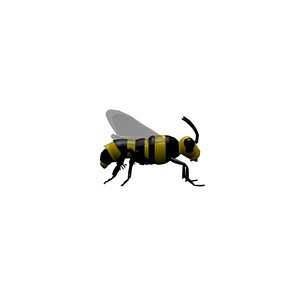 Free 3D Bee Models - Available For Download On TurboSquid