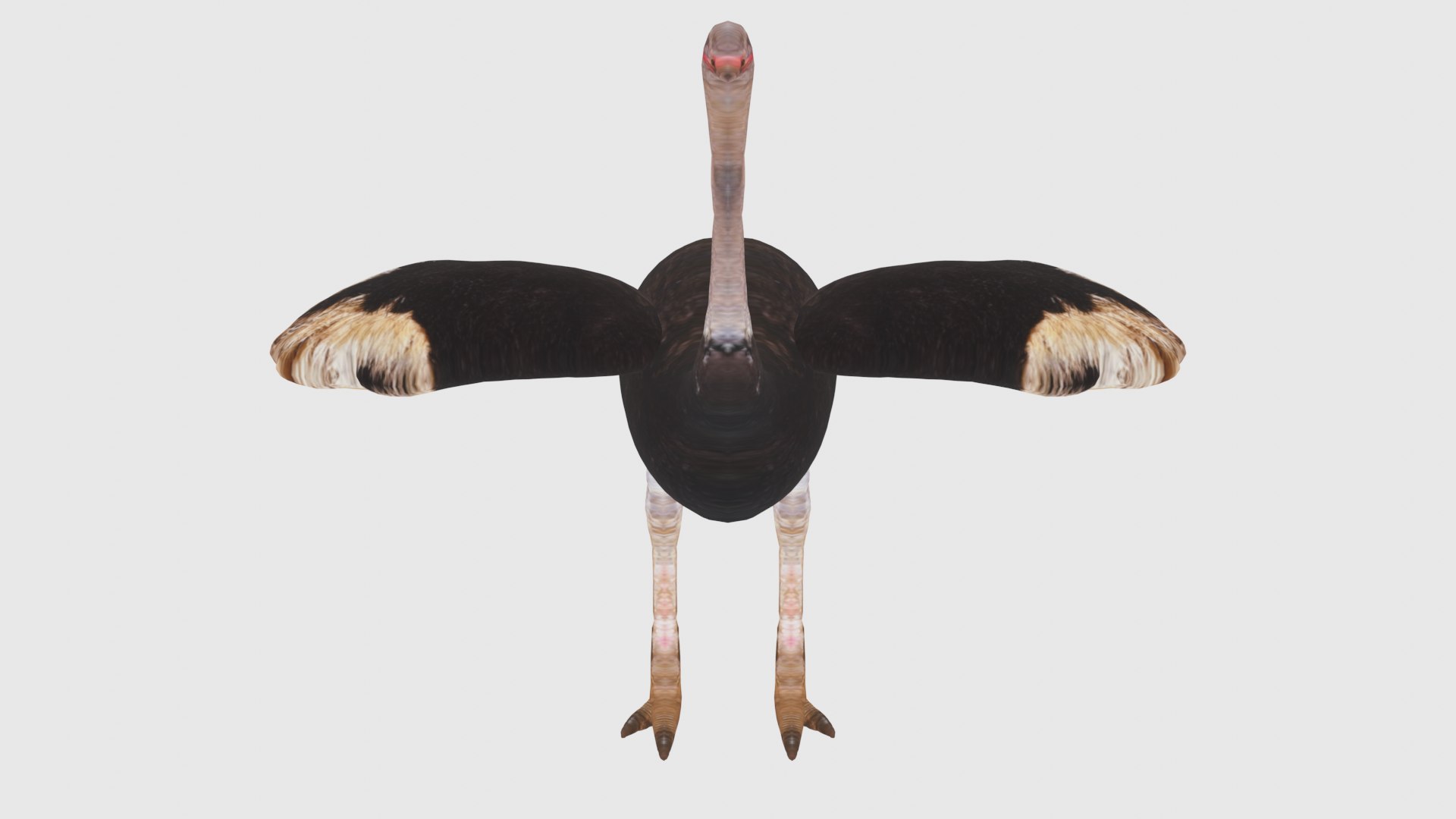 3D Low Poly Ostrich Rigged With Realistic Texture model - TurboSquid ...