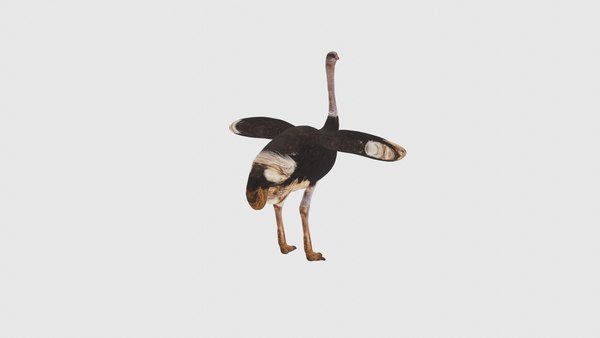 3D Low Poly Ostrich Rigged With Realistic Texture model - TurboSquid ...