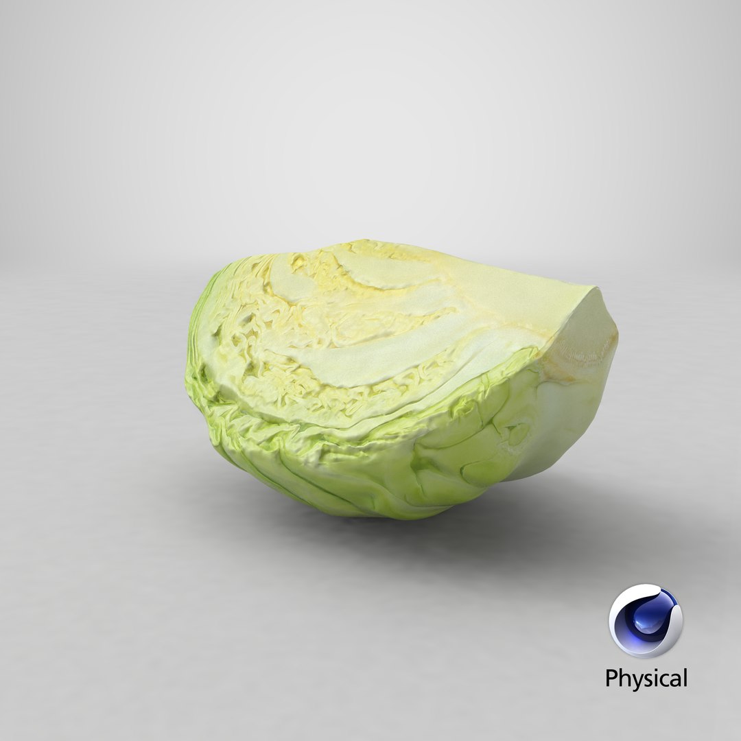 3D Cabbage Slice - TurboSquid 1860200