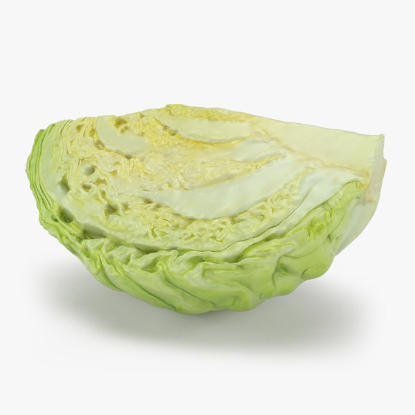 3D Cabbage Slice - TurboSquid 1860200