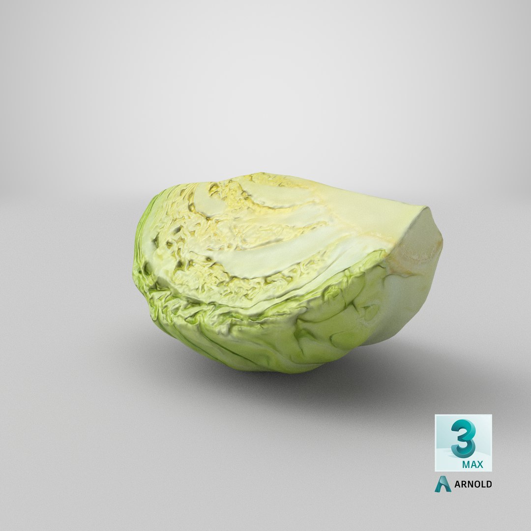 3D Cabbage Slice - TurboSquid 1860200