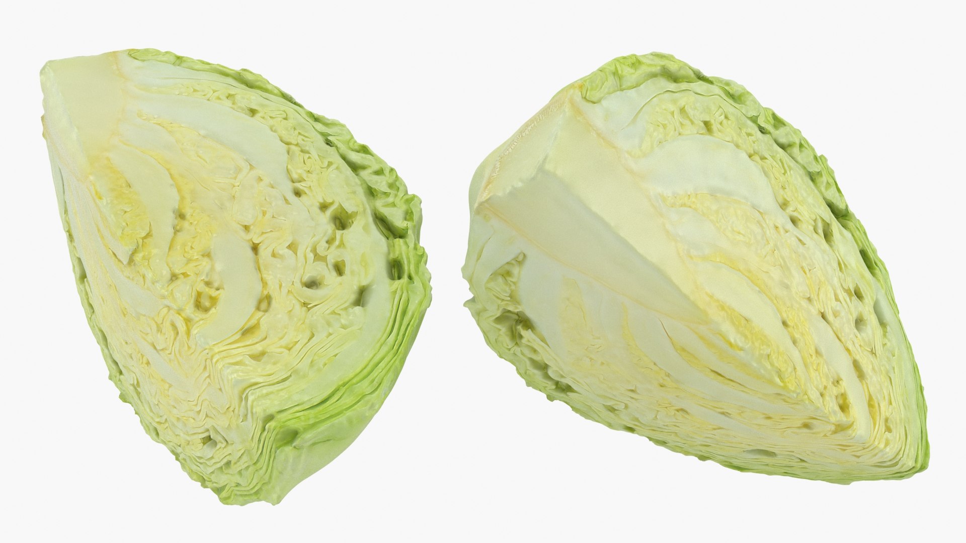 3D Cabbage Slice - TurboSquid 1860200