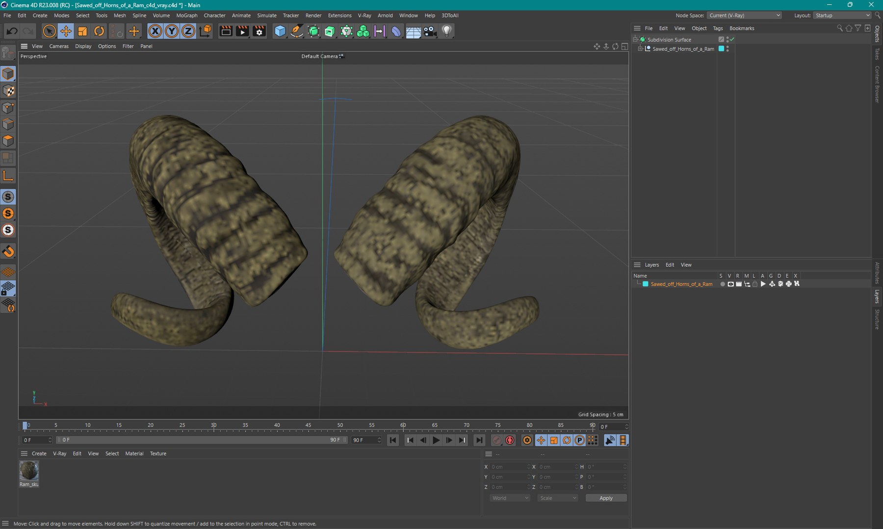 3D Sawed Off Horns Of A Ram - TurboSquid 2325129