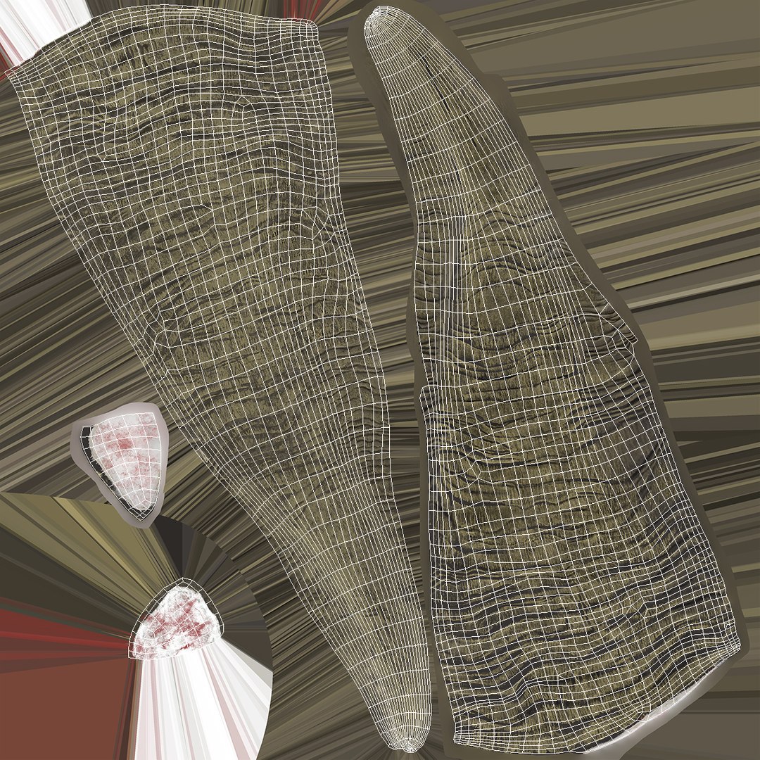 3D Sawed Off Horns Of A Ram - TurboSquid 2325129