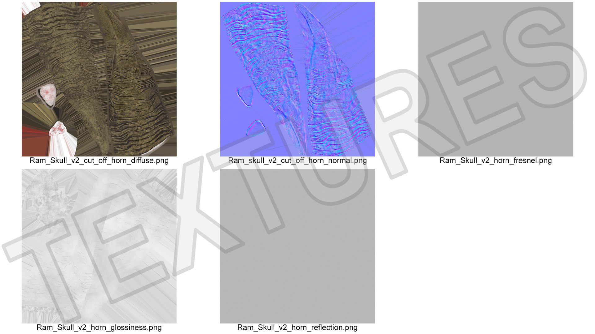 3D Sawed Off Horns Of A Ram - TurboSquid 2325129
