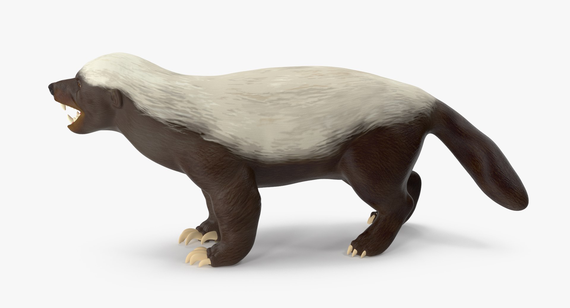 3d Honey Badger Model