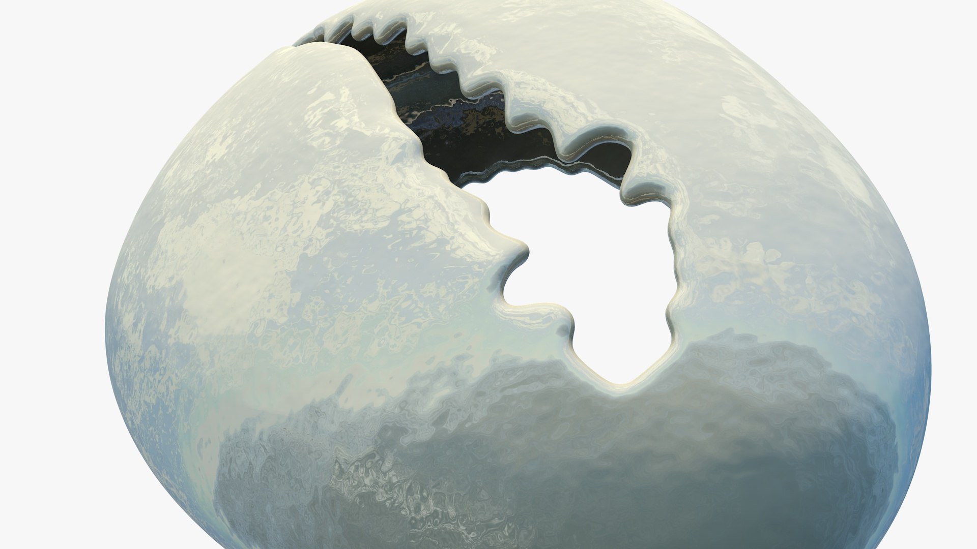 Cowrie Shell 3D Model - TurboSquid 1725152