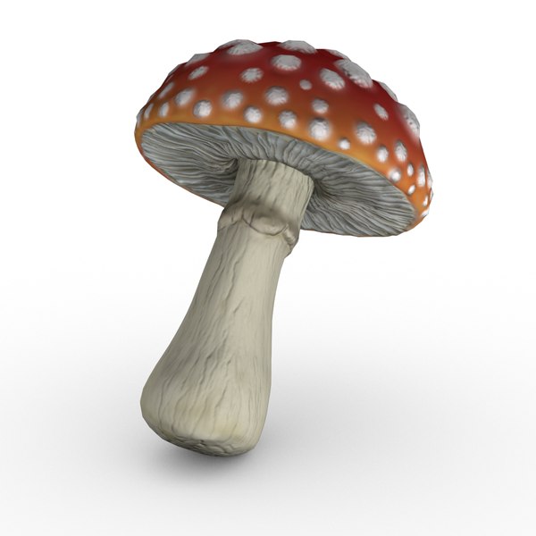 modelo 3d Seta Roja Manchada Blanca - TurboSquid 2228377